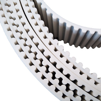 Quality Rubber Conveyor Belt & Wrapped V Belt factory from China